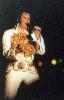 Mike Moat - Performance Photos - Eternally Elvis